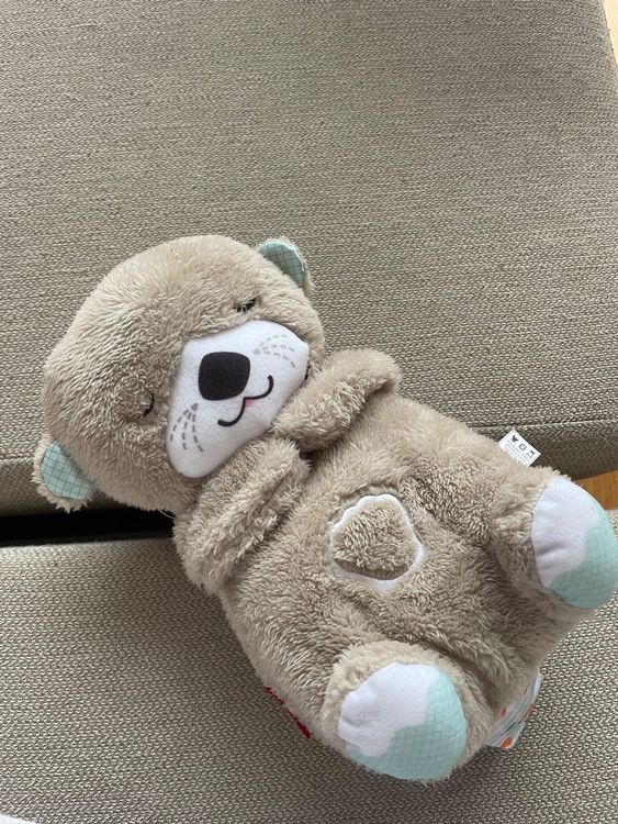 Schlummer Otter (Gebraucht) in Zürich für CHF 19 – mit Lieferung auf ...