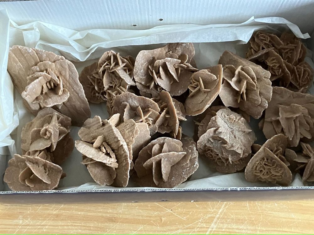 1 Schuhschachtel voll mit Sandrosen (Gebraucht) in Frick für CHF 11 ...