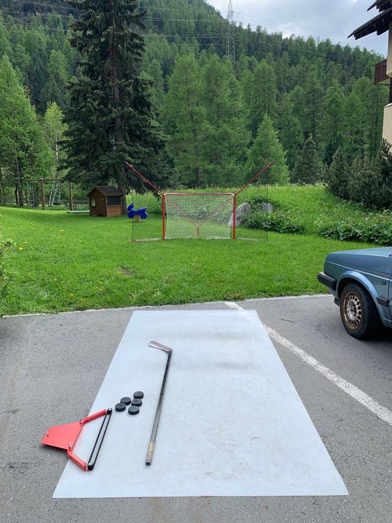 Eishockey Tor, Schussplatte & Passgeber (Gebraucht) in Zürich für CHF ...