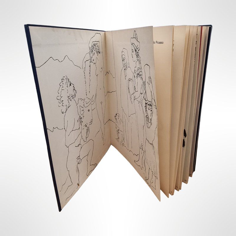 BERGHAUS VERLAG Pablo Picasso (Gebraucht) in Wangen b. Olten für CHF 9 ...