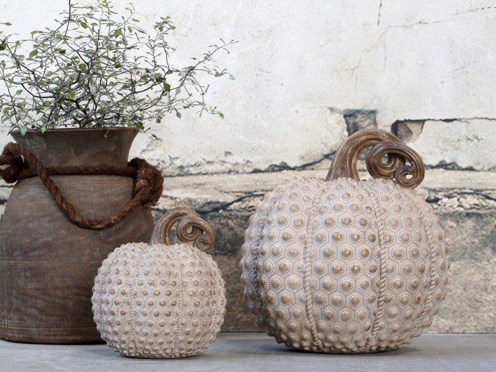 2 Kürbis Chic Antique NEU (Neu (gemäss Beschreibung)) in Tagelswangen für CHF 25 – nur Abholung ...