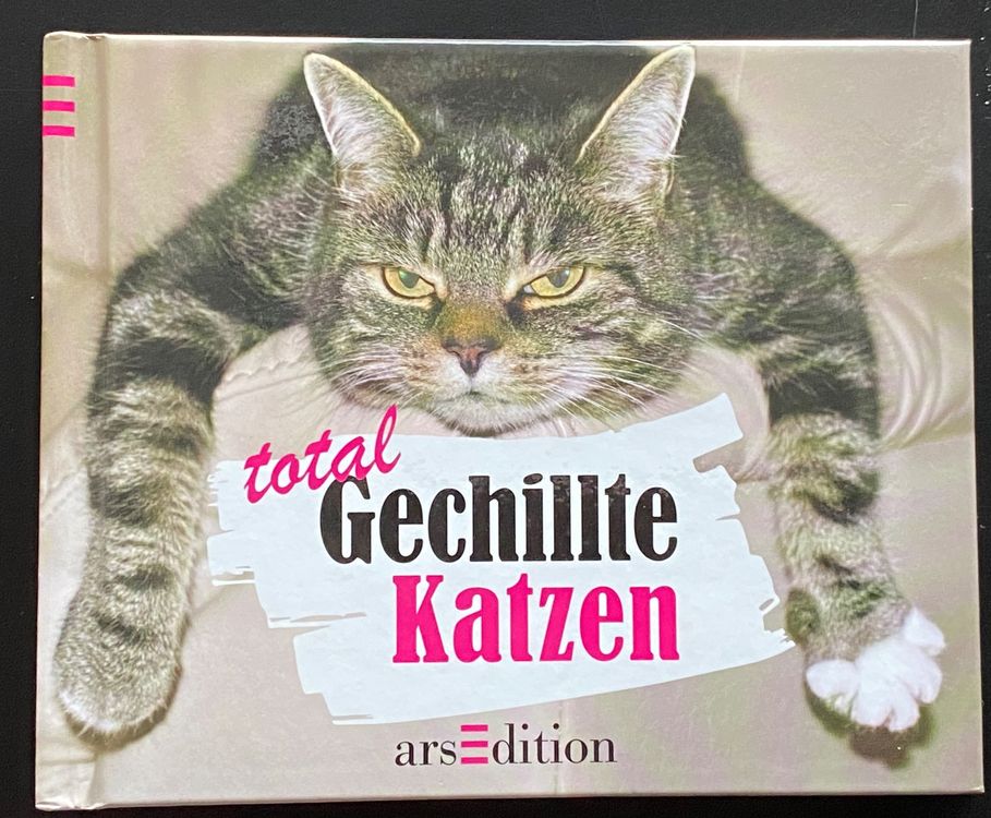 TOTAL GECHILLTE KATZEN 🐈 🐈‍⬛ (Gebraucht) in Nussbaumen AG für CHF 4 ...
