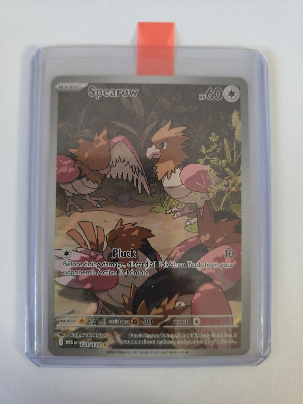 Spearow 151/132 NM Mega Evolution IR 🦅 (Neu (gemäss Beschreibung)) in ...
