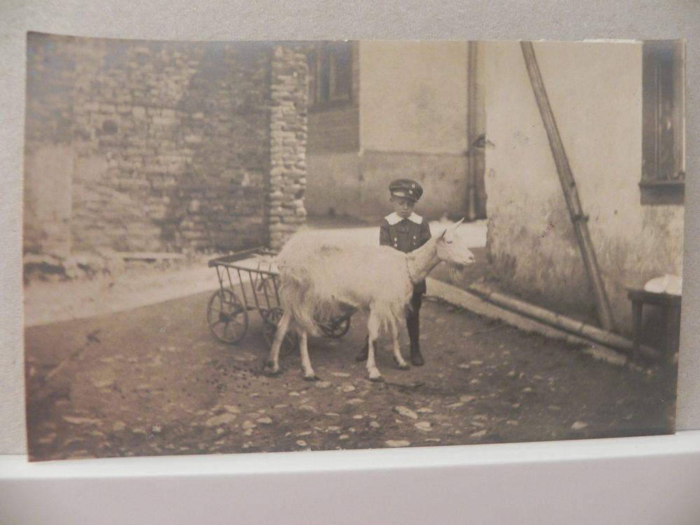 AK alte Postkarte Bambino con capretta e carretto | Kaufen auf Ricardo