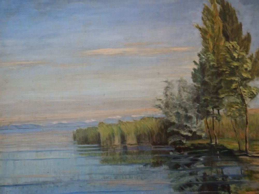 H.Knecht Seelandschaft Bodensee? Oelbild signiert 1925 | Kaufen auf Ricardo