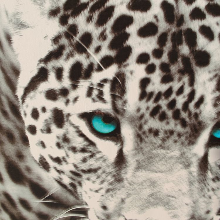 Bild Leopard, Druck auf Leinwand (Neu (gemäss Beschreibung)) in Reinach BL für CHF 95 – mit ...