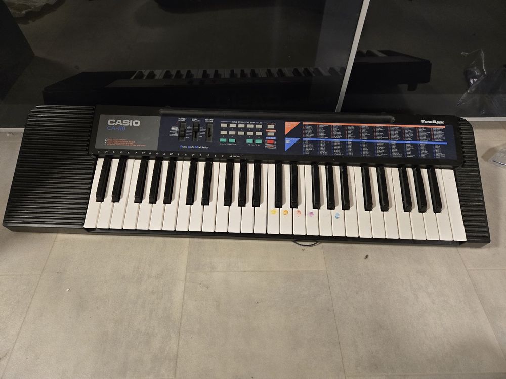 Casio CA-110 Keyboard mit 100 Sounds (Gebraucht) in Erlinsbach SO für ...