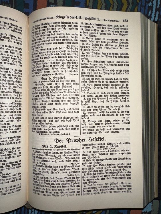 BIBEL DIE HEILIGE SCHRIFT D. MARTIN LUTHERS (Gebraucht) in Basel für CHF 8 – mit Lieferung auf ...