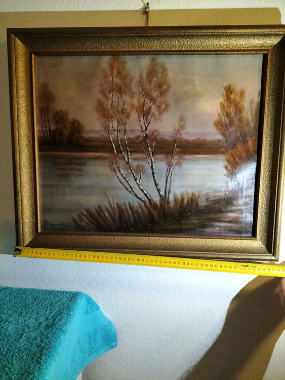 Schönes Bild landschaft | Kaufen auf Ricardo