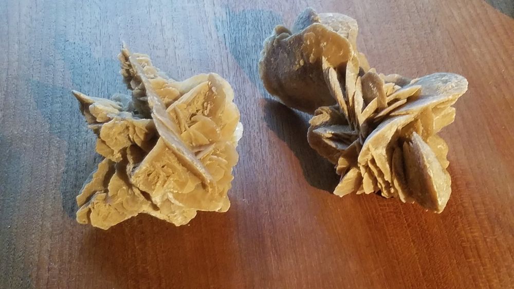 Sandrose Lot zwei Stück 12cm & 18cm | Kaufen auf Ricardo