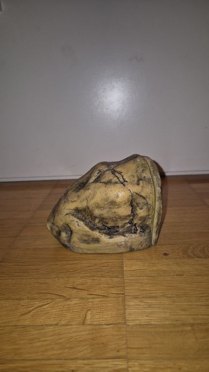 Exo Terra Reptilienhöhle – sehr klein (XS) (Gebraucht) in Zürich für ...