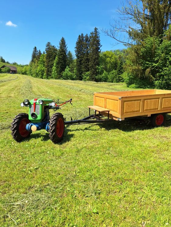 Rapid S Super (Gebraucht) in Ganterschwil für CHF 2250 – nur Abholung ...