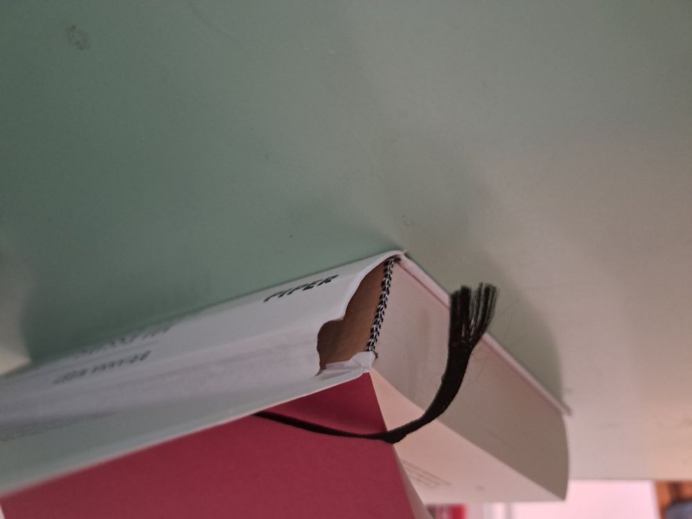 101 Essays, die dein Leben verändern werden! (Gebraucht) in Schliern b ...