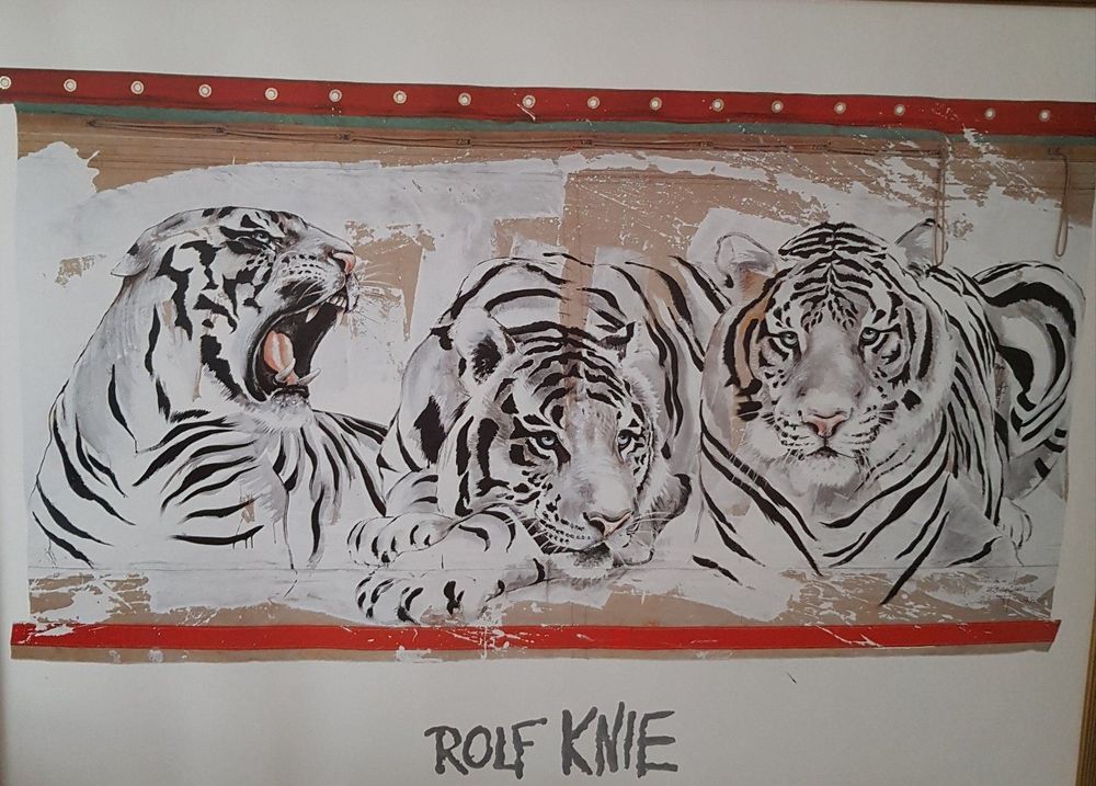 Rolf Knie Kunstdruck * weisse Tiger * | Kaufen auf Ricardo
