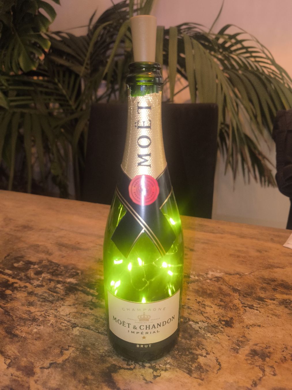 Moët & Chandon Champagner Flasche mit Lichterkette - Deko (Neu (gemäss ...
