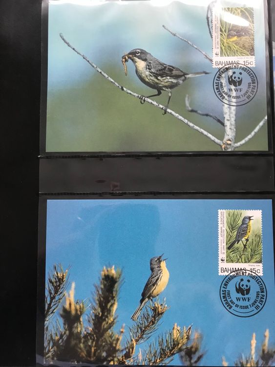 WWF Bahamas 1995 Michiganwaldsänger Satz Maximumkarten (Neu (gemäss Beschreibung)) in Liestal ...