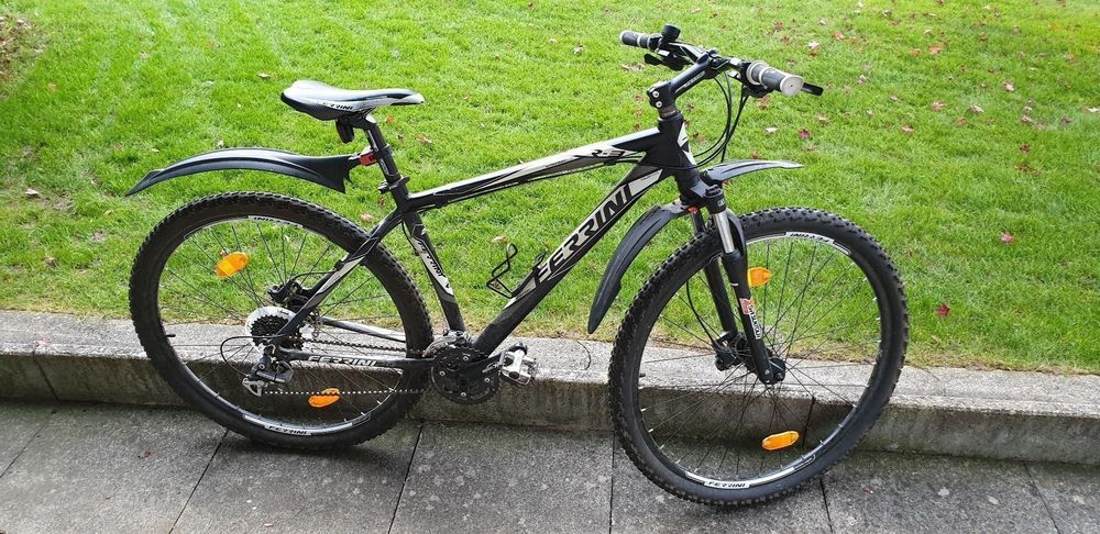 Mountain Bike Ferrini 29" (Gebraucht) in für CHF 260 – nur Abholung auf ...