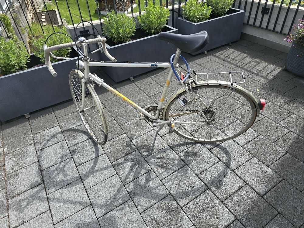 Velo Cervino / Gitane mit gebogenem Rennlenker (Gebraucht) in Wilen (Sarnen) für CHF 23 – nur ...