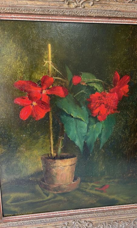 Gemälde, roter Begonien, signiert Hans Zaugg (ID L68) (Gebraucht) in Gelterfingen für CHF 1 ...