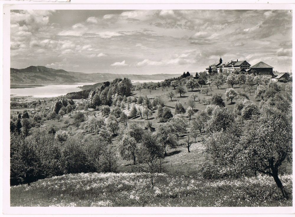 Kloster BERG SION mit Zürichsee (Gebraucht) in Buchs AG für CHF 5.5 ...