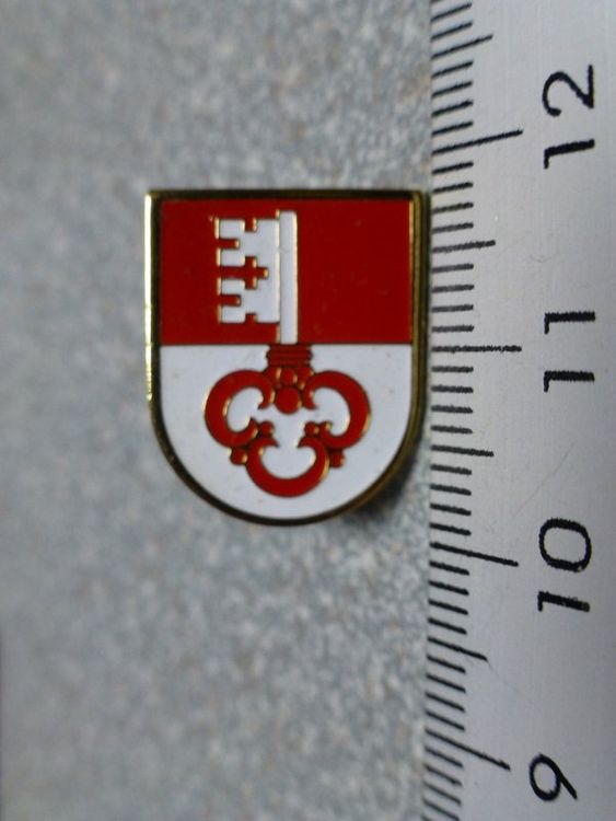 PIN PINS SCHWEIZ WAPPEN KANTON (Gebraucht) in Gränichen für CHF 2 – mit Lieferung auf Ricardo kaufen