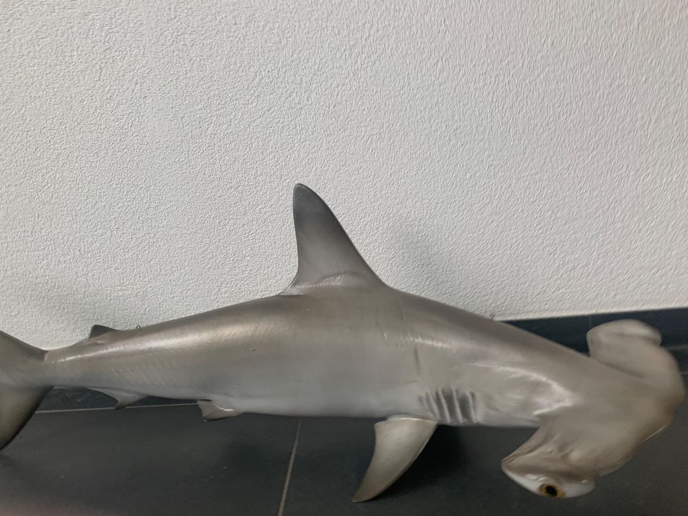 Hammer Hai Fisch Model - Einzelanfertigung | Kaufen auf Ricardo