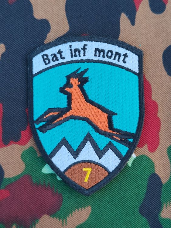 Verbandsabzeichen Geb Inf Bat 7 Kompanie 2 (Gebraucht) in Bauma für CHF ...