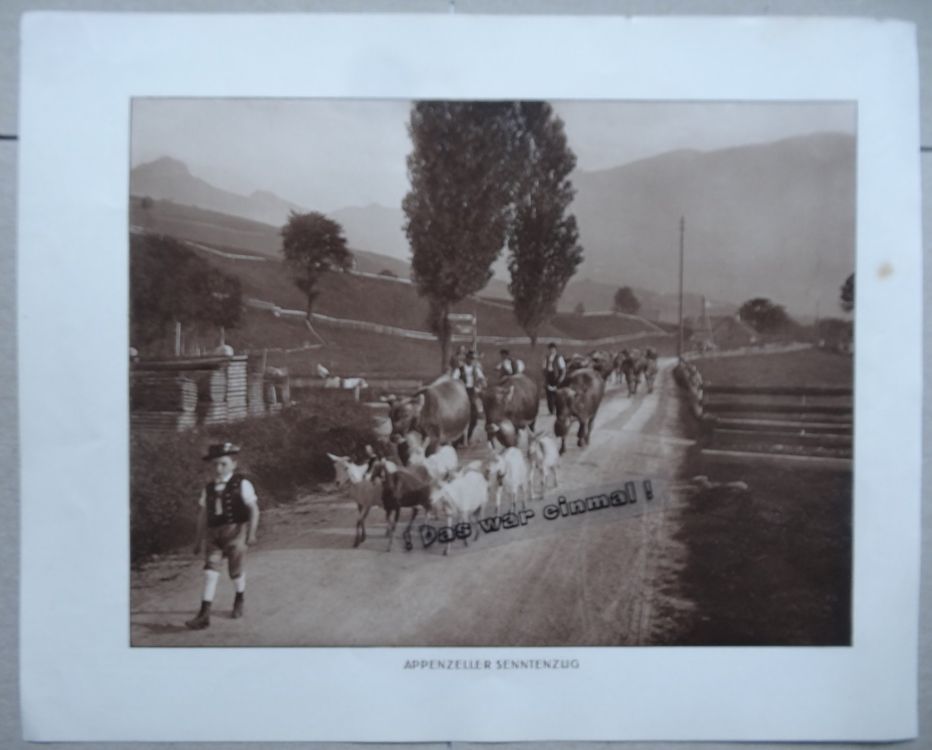 Appenzell Senntenzug anno dazumal | Kaufen auf Ricardo