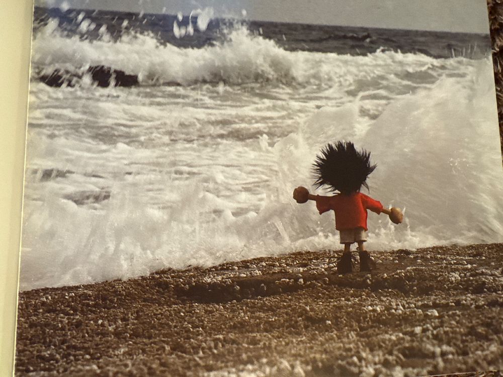 Baski im Meer - Band 10 (Gebraucht) in Aarau für CHF 14 – mit Lieferung ...