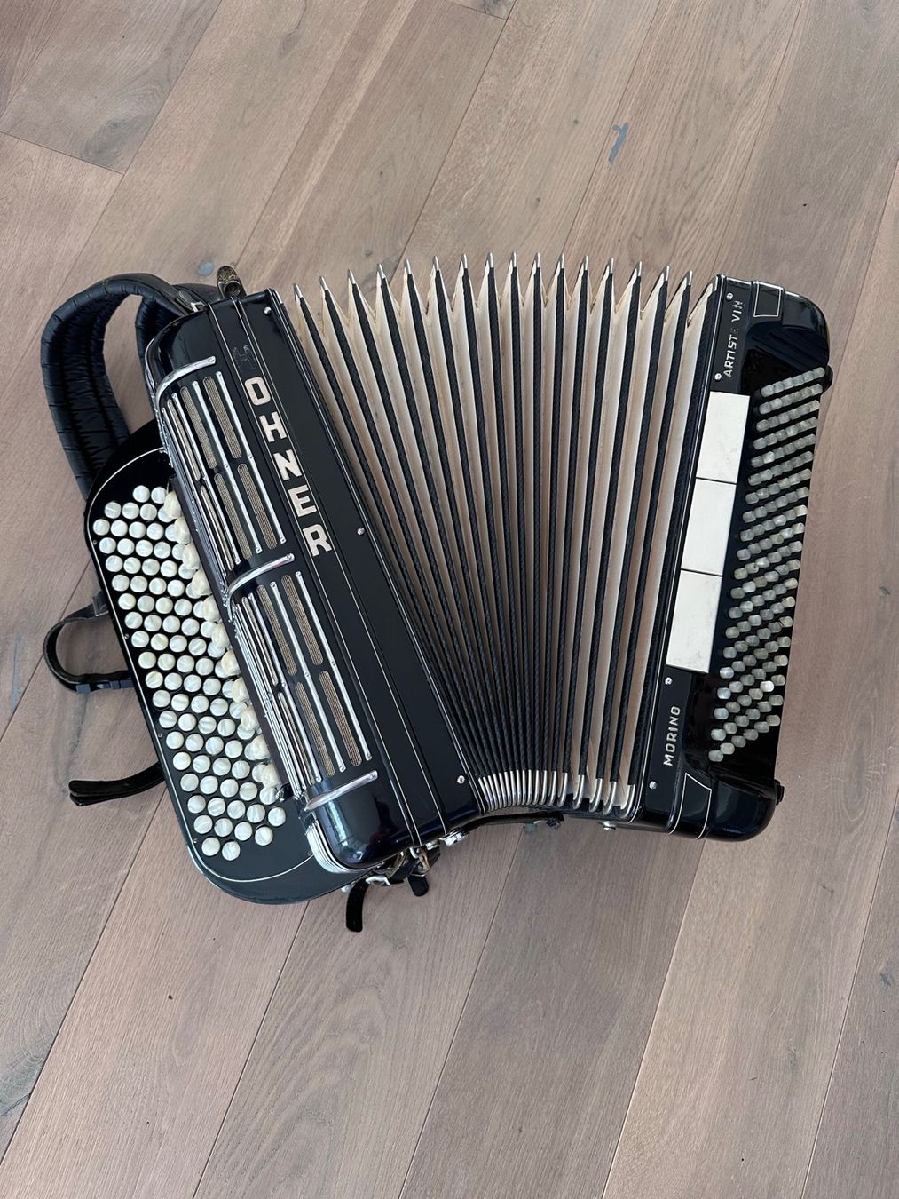 Hohner Morino Artiste VIN | Top Zustand, Sommerhit! 🎶 (Gebraucht) in ...