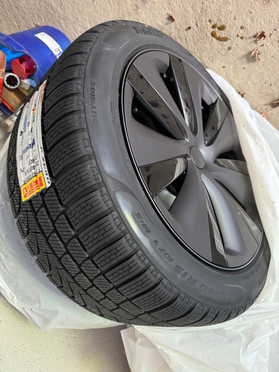 Tesla Model S Tempest + Pirelli PZero Winter | Kaufen auf Ricardo