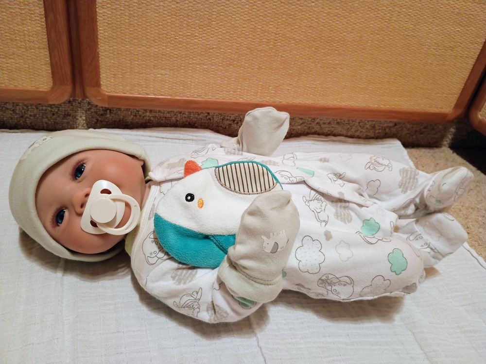 REBORNBABY, PUPPE, Junge, 50 cm, 1.2 kg, inkl. Zubehör (Neu (gemäss ...