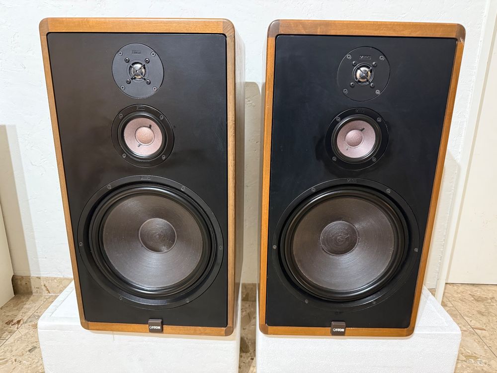 Canton CT 1000 (Version 2) (Gebraucht) in Plan-Les-Ouates für CHF 108 ...