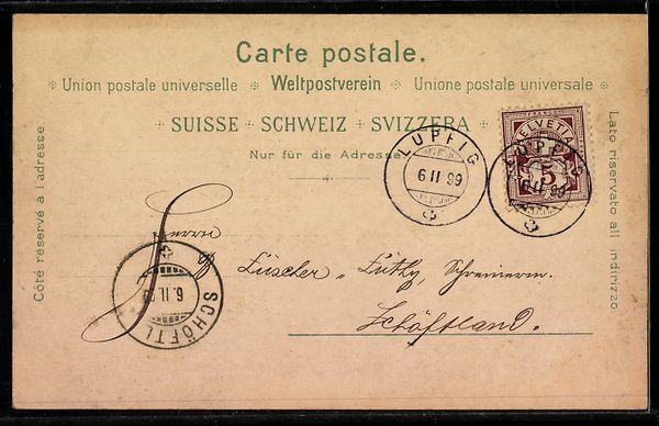Litho Lupfig, Pestalozzi-Denkmal, Kirche (Gebraucht) in Berlin für CHF ...