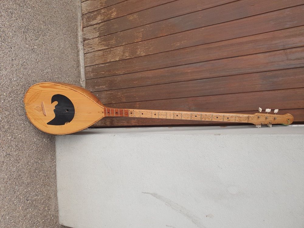 Sharki zu verkaufen. | Kaufen auf Ricardo