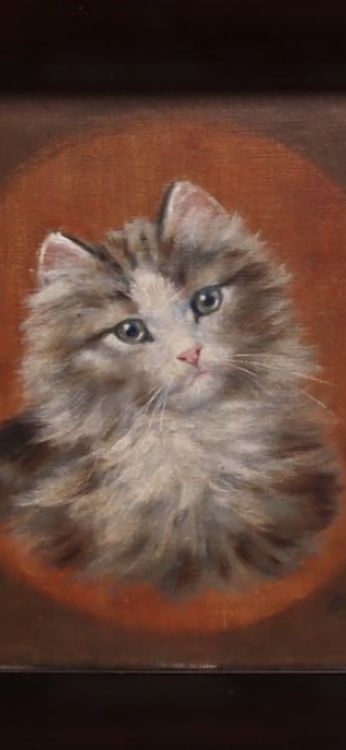 Katzenbild von Bernhard Flury ( Katzen Flury ) (Gebraucht) in Zürich ...