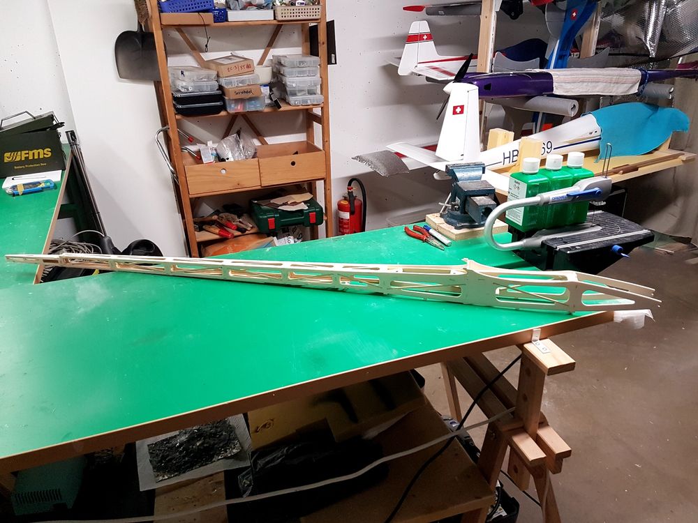 Friendly F5J | Kaufen auf Ricardo