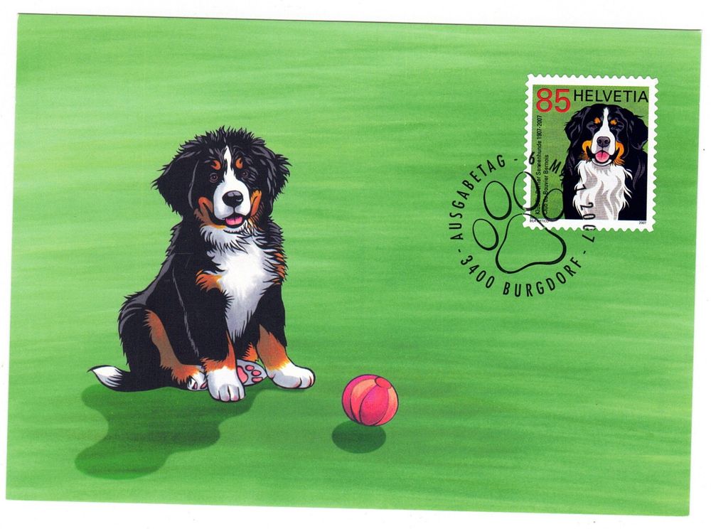 Carte Maximum, 100 ans club Suisse du Bouvier Bernois (Gebraucht) in La Tour-de-Peilz für CHF 1. ...