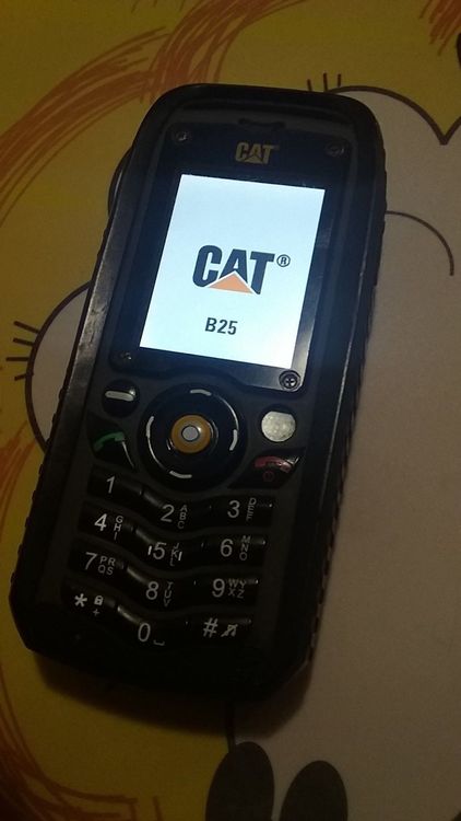 Outdoor Handy ohne Lock: Cat Modell B25 (Gebraucht) in Winterthur für ...