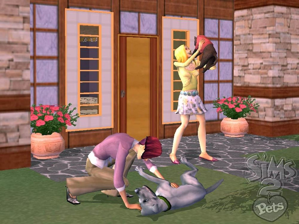 The Sims 2 Heile als Tierarzt die Tiere der Stadt DS (Gebraucht) in ...