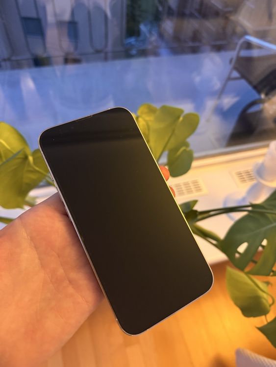 iPhone 13 Pro weiss (Gebraucht) in Arosa für CHF 370 – mit Lieferung ...
