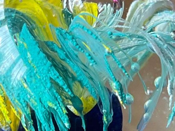 Beautiful Glass paperweight, colourful flower (Gebraucht) in Gockhausen für CHF 12 – mit ...