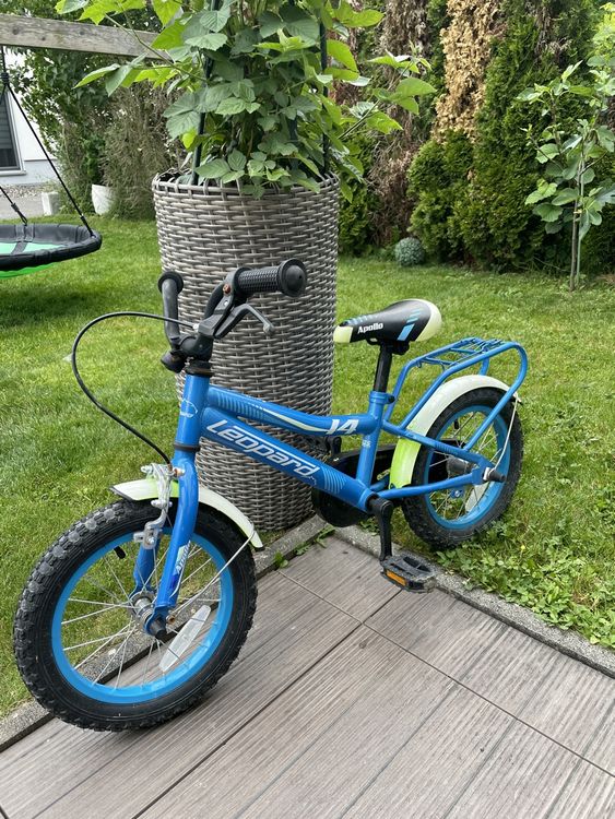 Kinder Velo Leopard, 14 Zoll, ideales Sommer-Fahrvergnügen | Kaufen auf ...