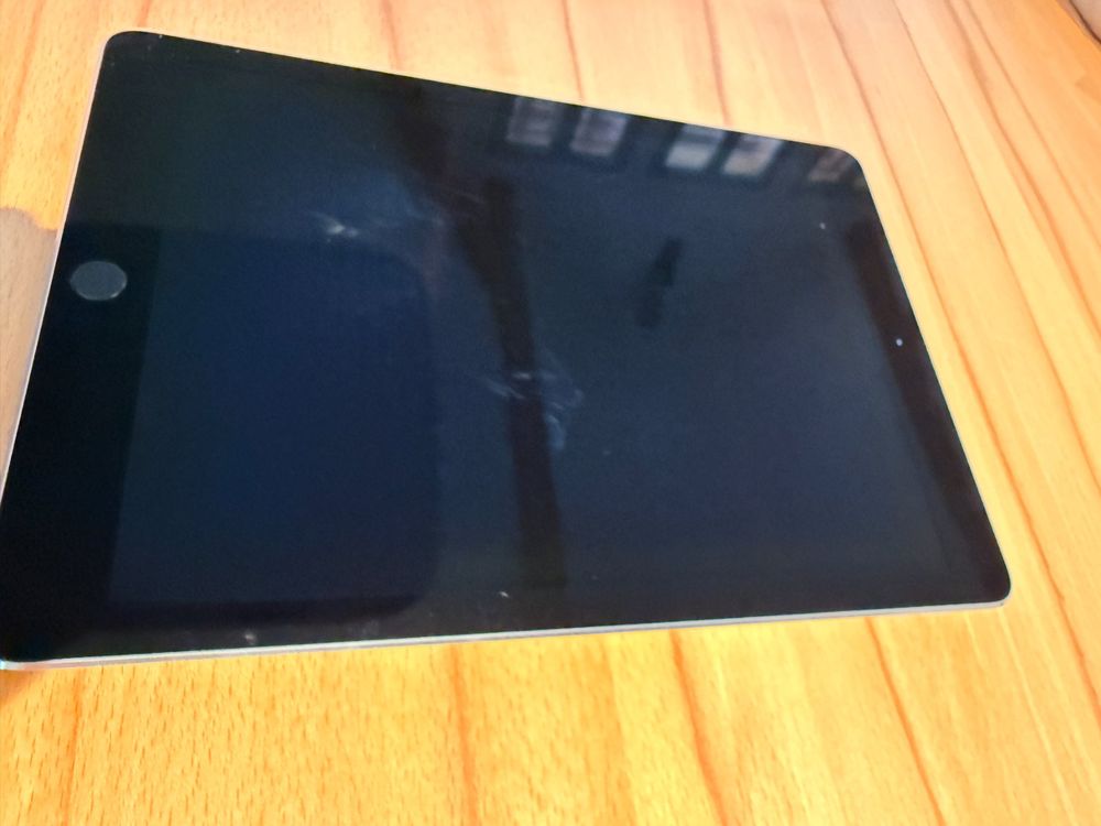 iPad Pro (9,7″) 32GB WiFi (Gebraucht) in Biglen für CHF 1 – mit ...