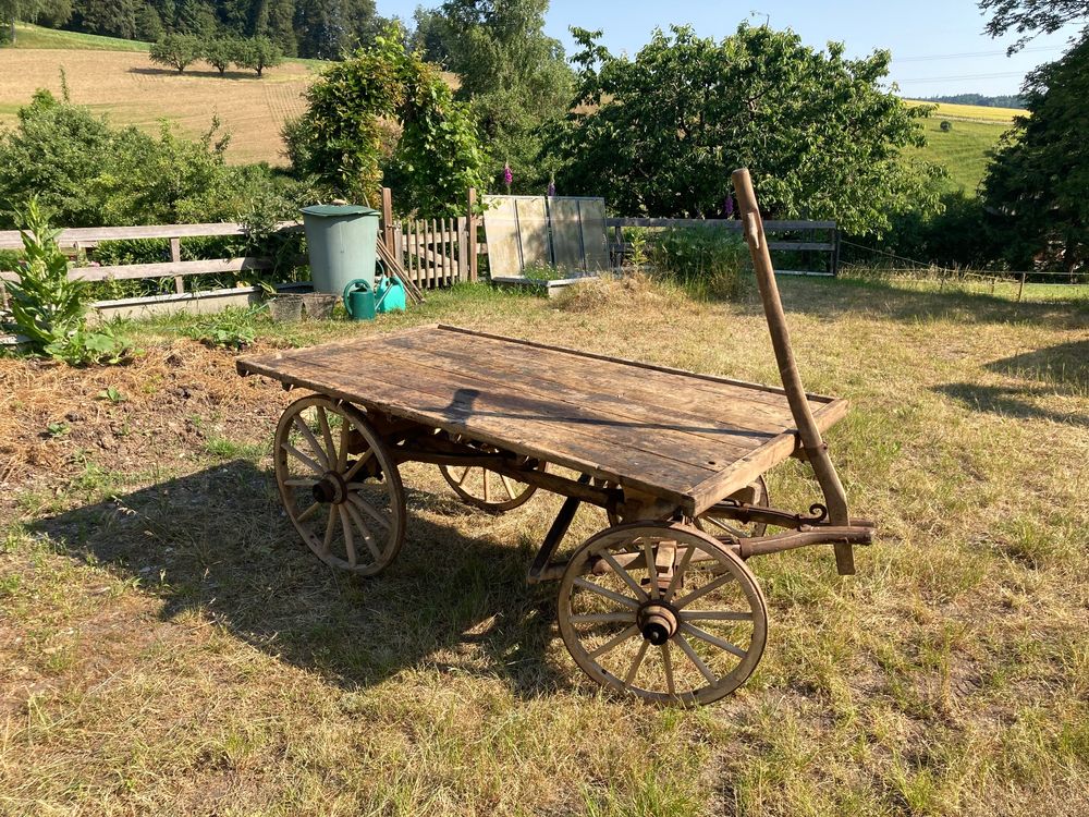 Brückenwagen / Handkarren (Gebraucht) in Neuenhof für CHF 85 – nur ...
