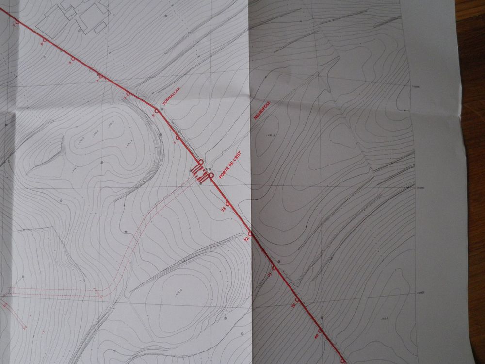 Plan Aventicum Avenches (Römer Keltenstadt Archäologie) (Gebraucht) in ...