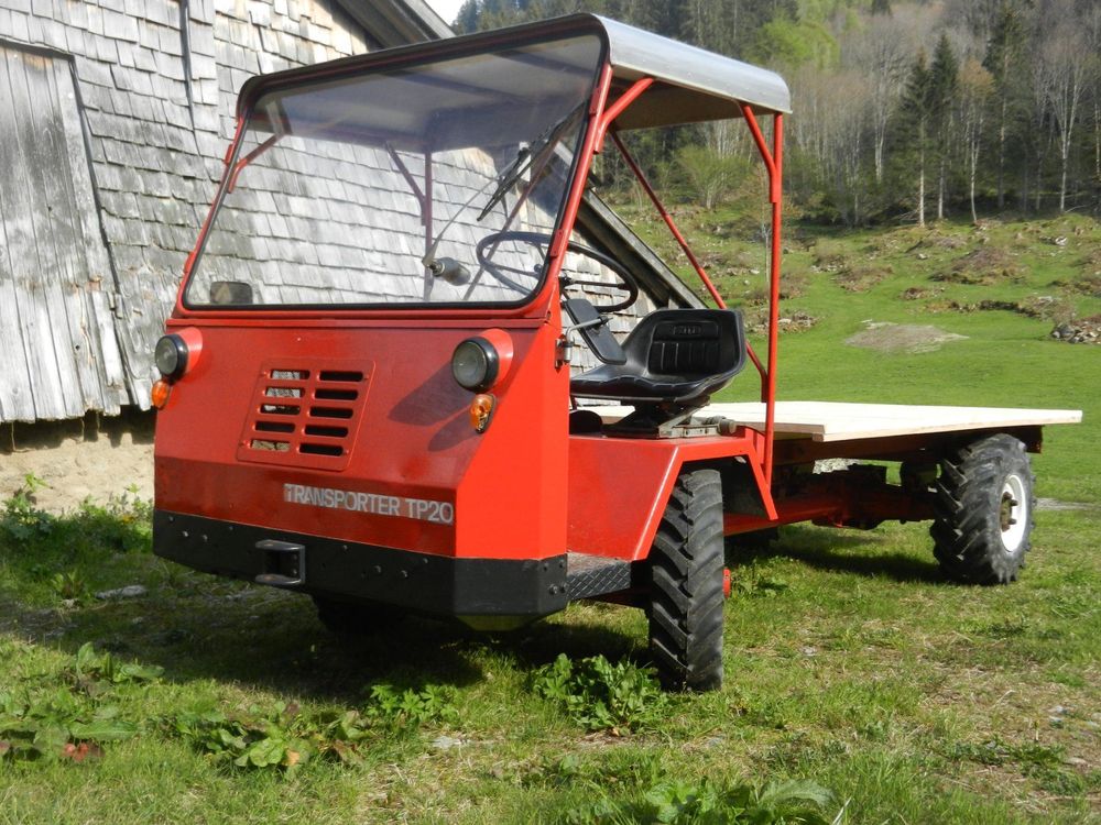 Aebi Transporter TP20 (Gebraucht) in Gadmen für CHF 4120 – mit Lieferung auf Ricardo kaufen