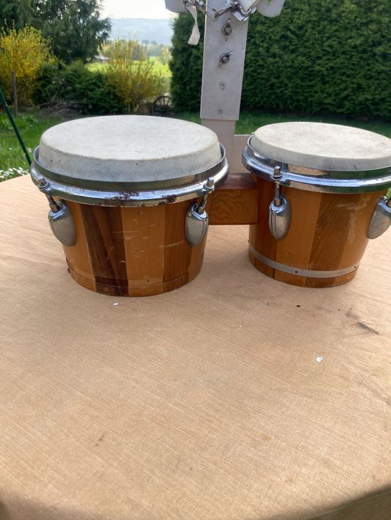 Bongo Trommel Fasnacht Karneval. Guggenmusik. (Gebraucht) in Arni AG ...