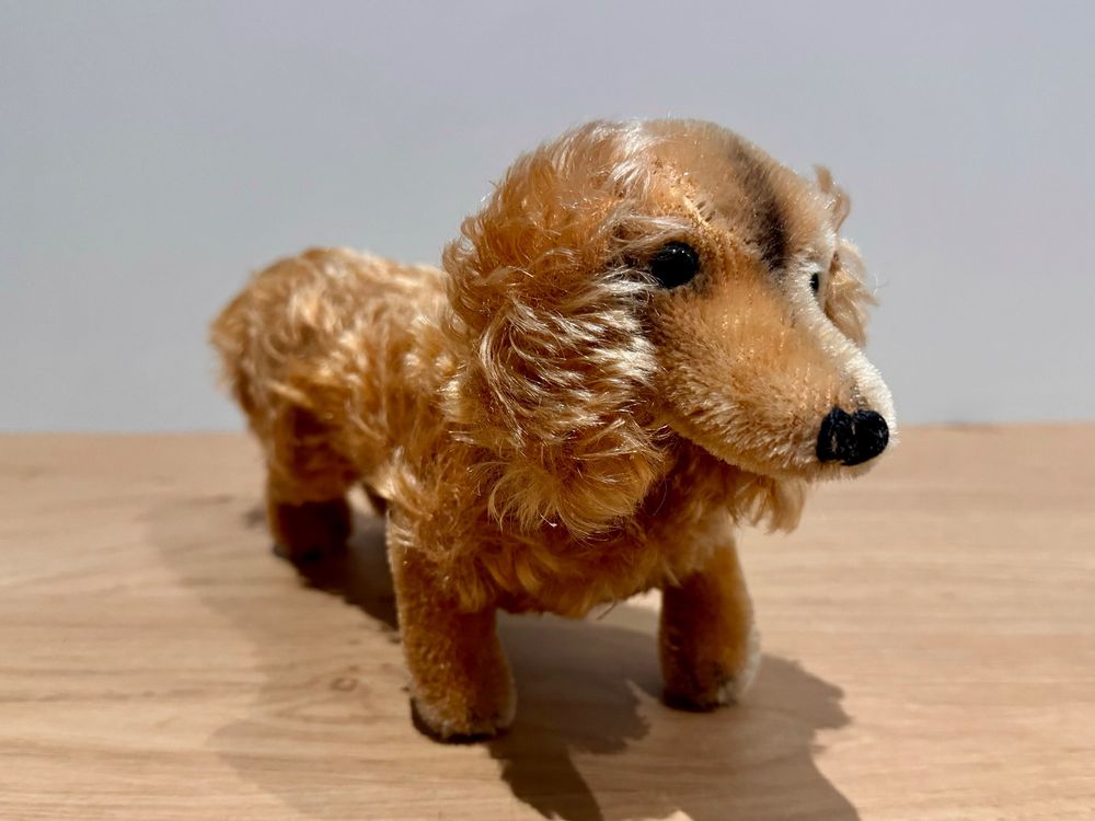 Niedlicher Steiff Dackel Waldi 4140/17 sucht neues Zuhause! (Gebraucht ...