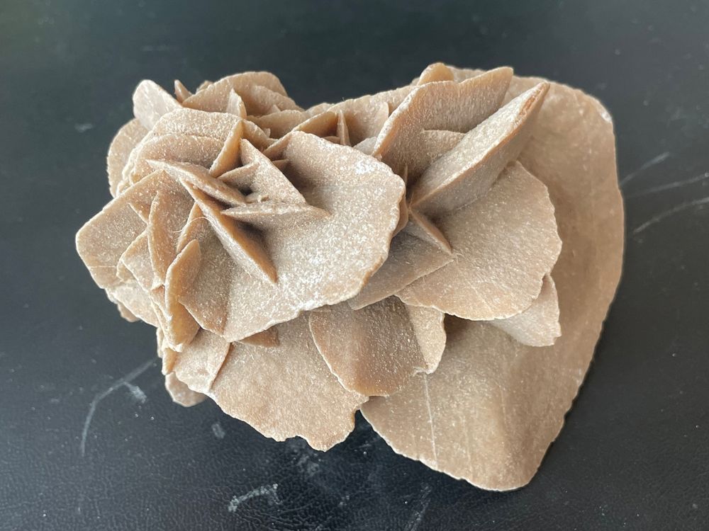 Sandrose Wüstenrose (Gebraucht) in Zürich für CHF 15 – mit Lieferung ...